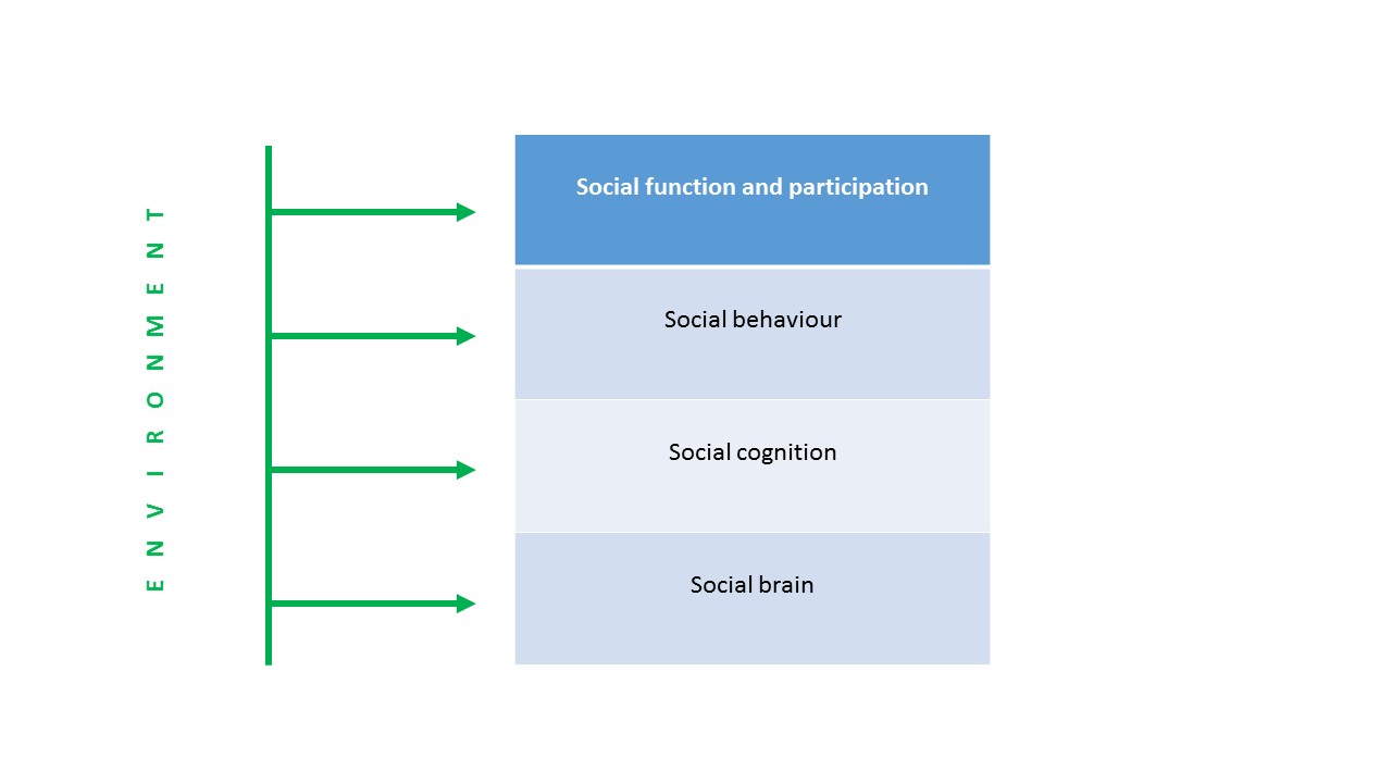 What is social cognition? - EnableNet.Info