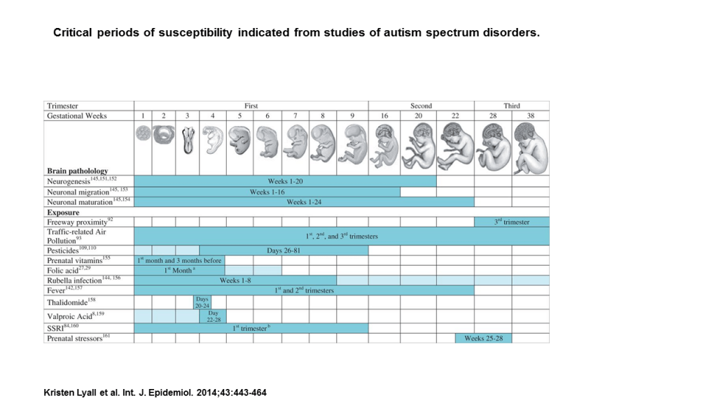 Risk factors for autism spectrum disorder (ASD) - EnableNet.Info